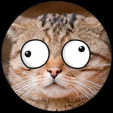 Иконка канала Кривой Кот (Сrooked Cat)