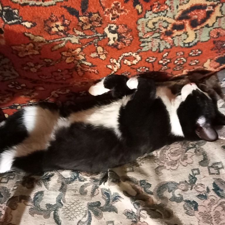 Иконка канала Не много обо всем