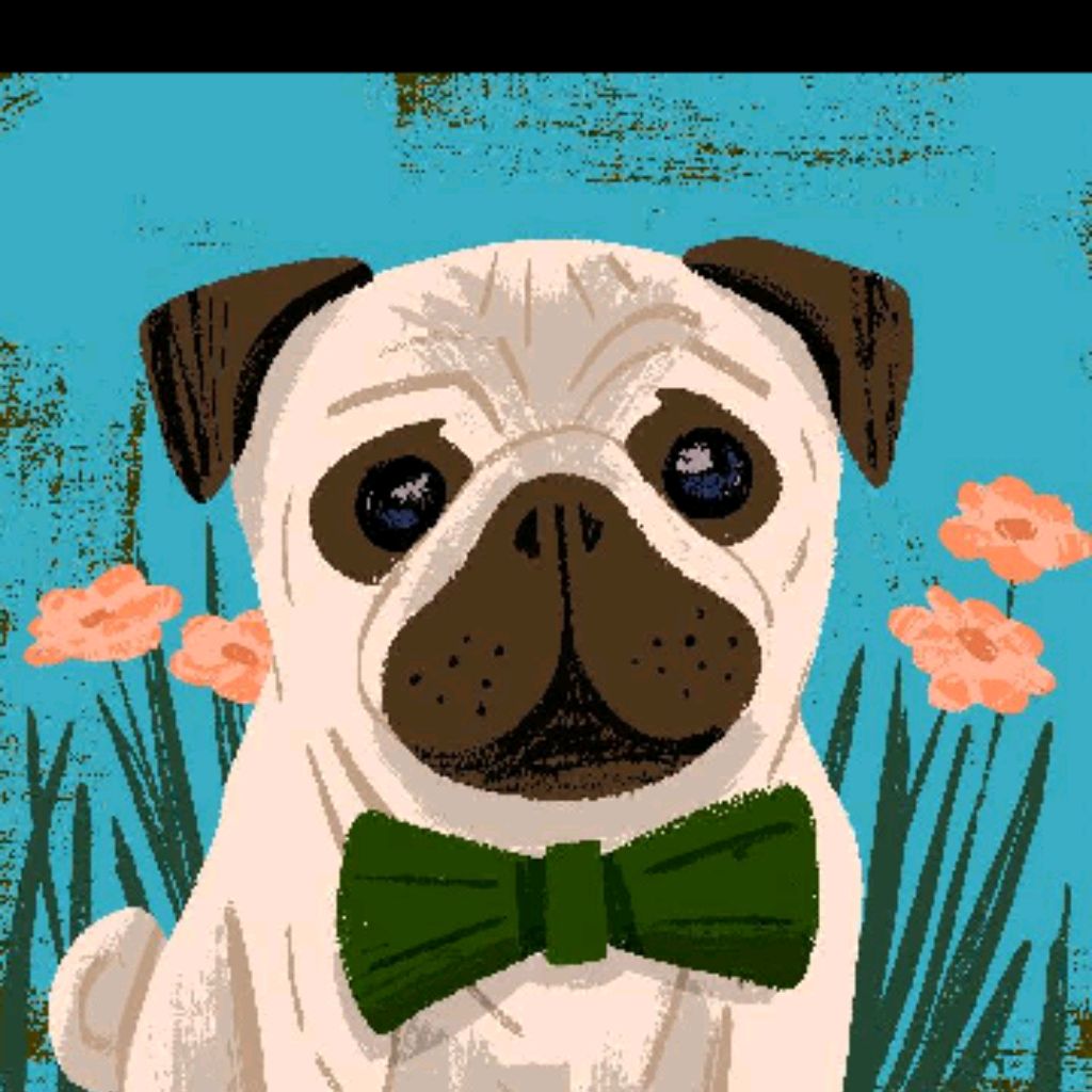 Иконка канала Ric