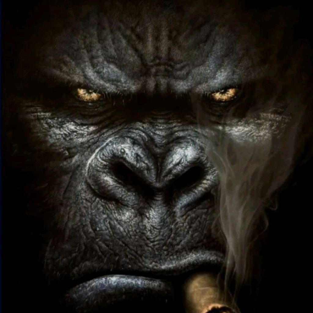 Иконка канала ZaVeR