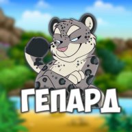 Иконка канала Гепард в деле