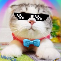 Иконка канала Супер Кот