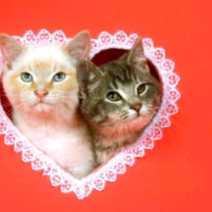 Иконка канала Любимая моя