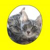 Иконка канала MEOWмяу