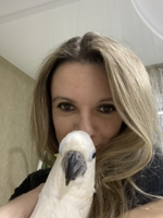 Иконка канала Попугай Кирюша