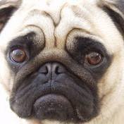 Иконка канала Jolygolf