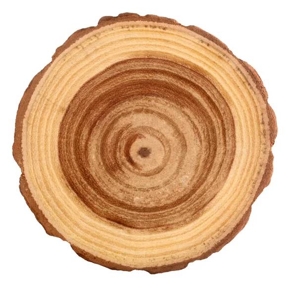 Иконка канала Столяр не плотник