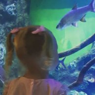 Иконка канала Ксения Муравьева