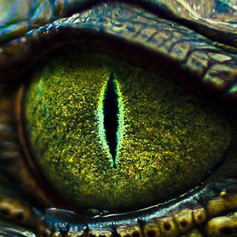 Иконка канала