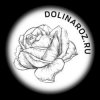 Иконка канала DolinaRoz