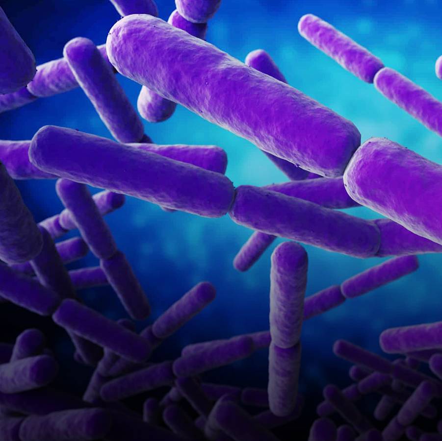 Иконка канала обычные вещи под микроскопом