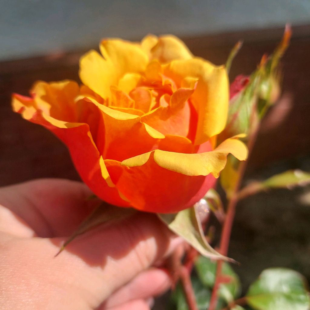 Иконка канала ЛарсиБер