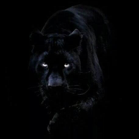 Иконка канала Дмитрий