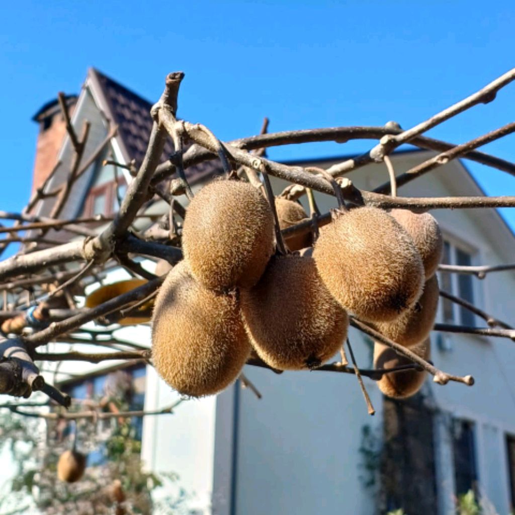 Иконка канала Будь Настоящим!!! Джамбо