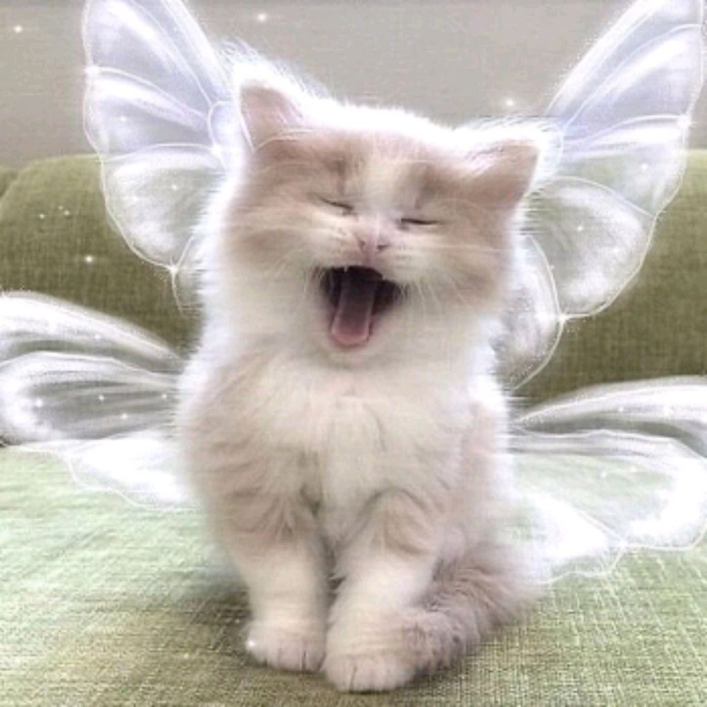 Иконка канала Lisika play