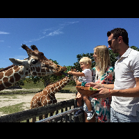 Иконка канала FAMILYRUSA