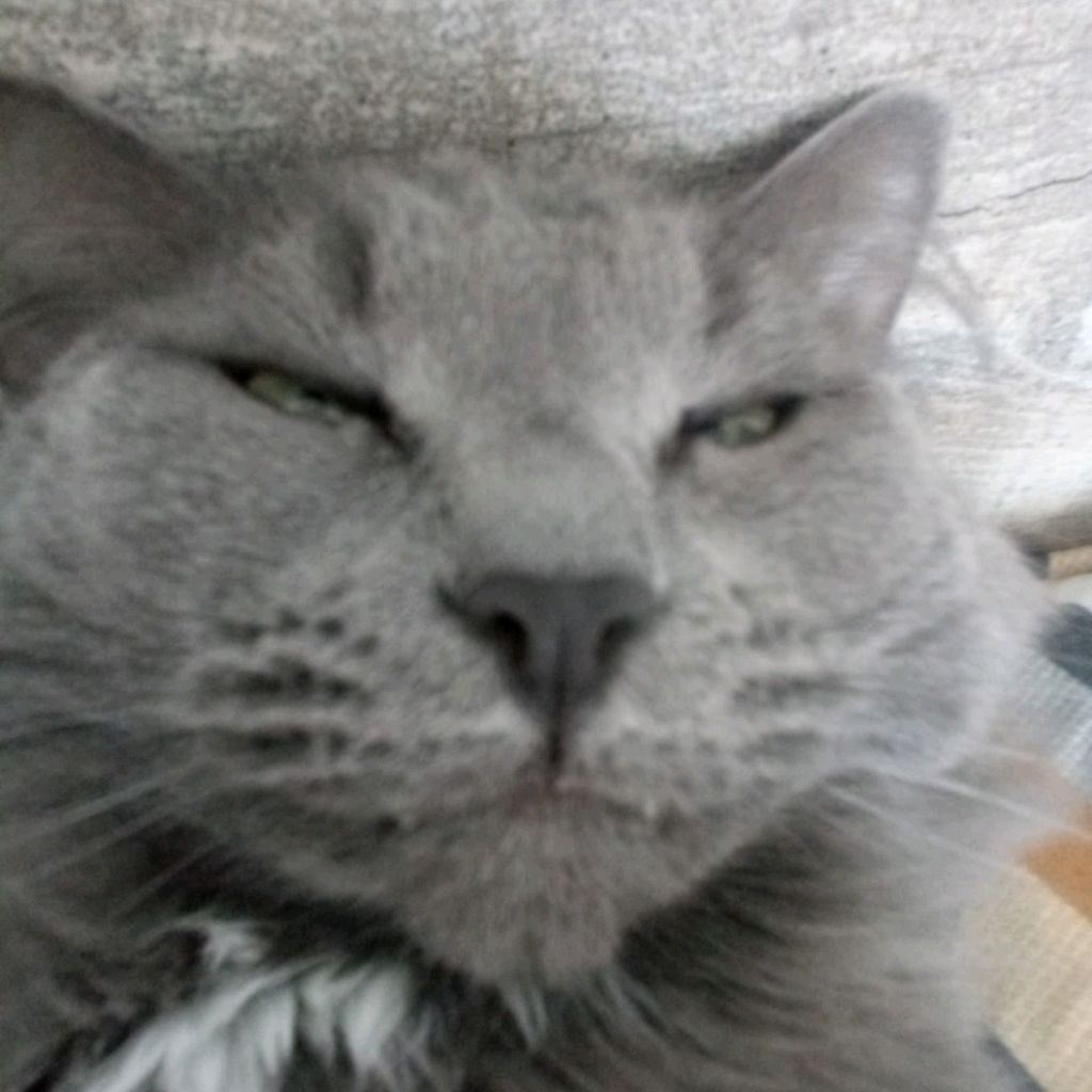 Иконка канала Ева харэ.