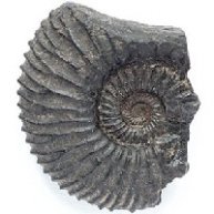 Иконка канала Sergey Gilev