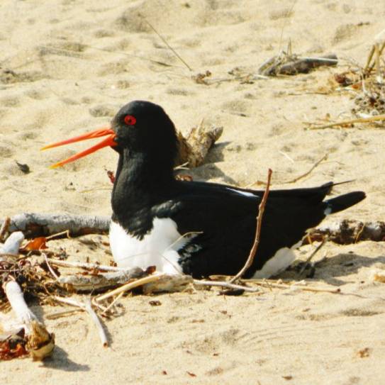 Иконка канала channel42239615