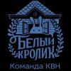 Иконка канала Команда КВН "Белый кролик"