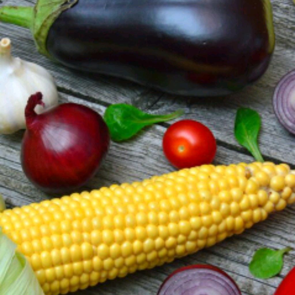 Иконка канала Огородник подмосковный