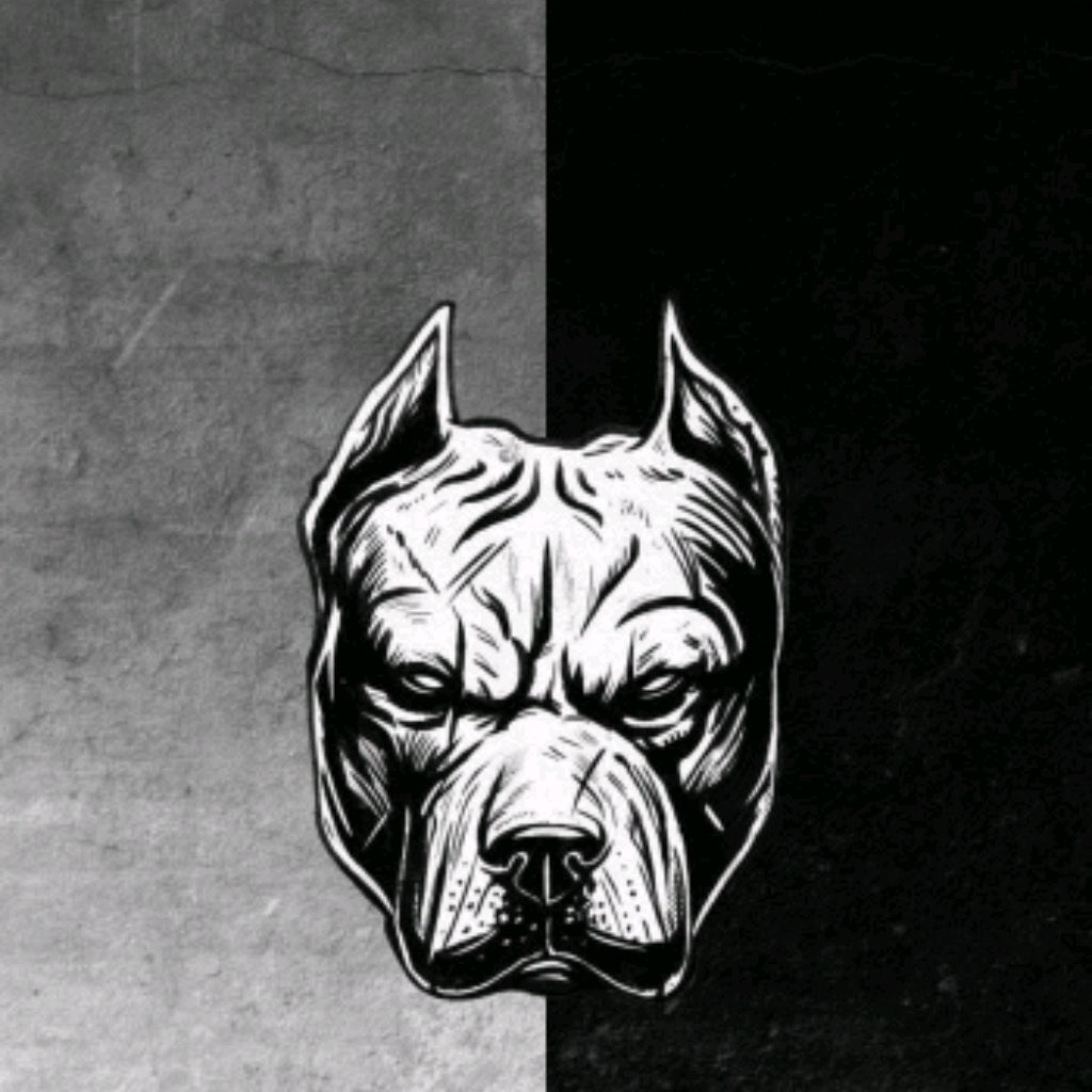 Иконка канала GONOR_TV