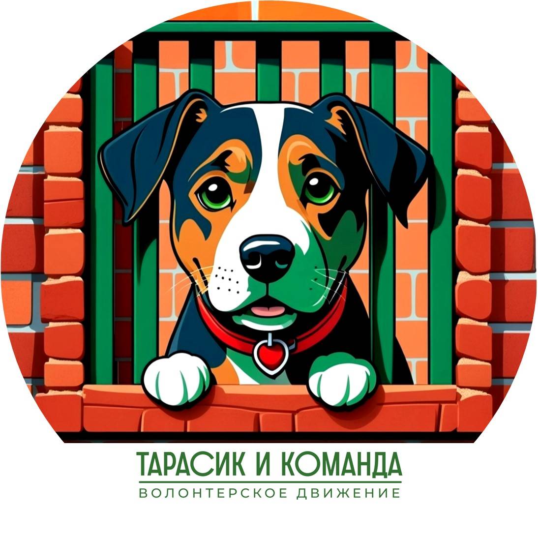 Иконка канала Тарасик и команда - волонтёрское движение