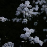 Иконка канала Юлия Петрова