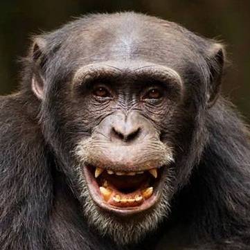 Иконка канала Смешное Рядом!