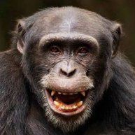 Иконка канала Смешное Рядом!