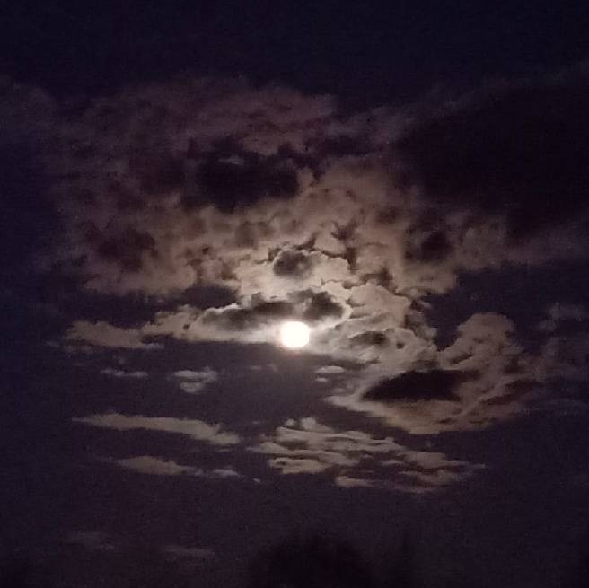 Иконка канала Сдубарух