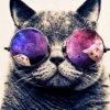 Иконка канала channel26324776