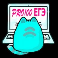 Иконка канала PRO100 ЕГЭ Информатика