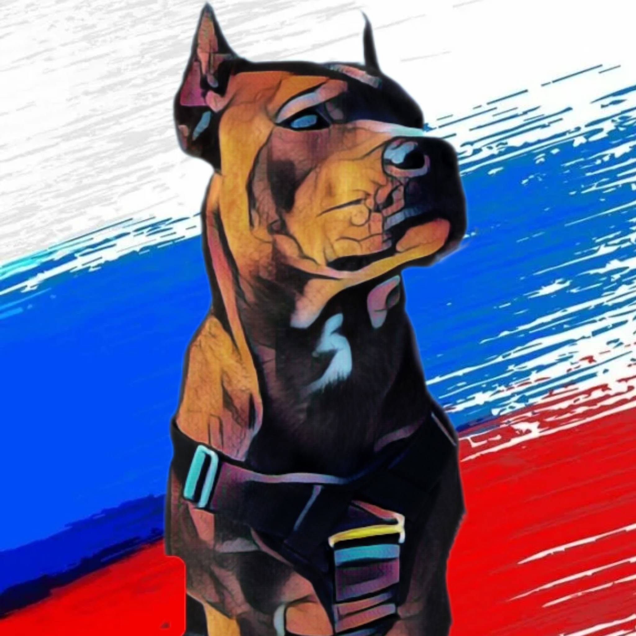 Иконка канала Питбуль БРУК