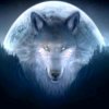 Иконка канала WHITE WOLF
