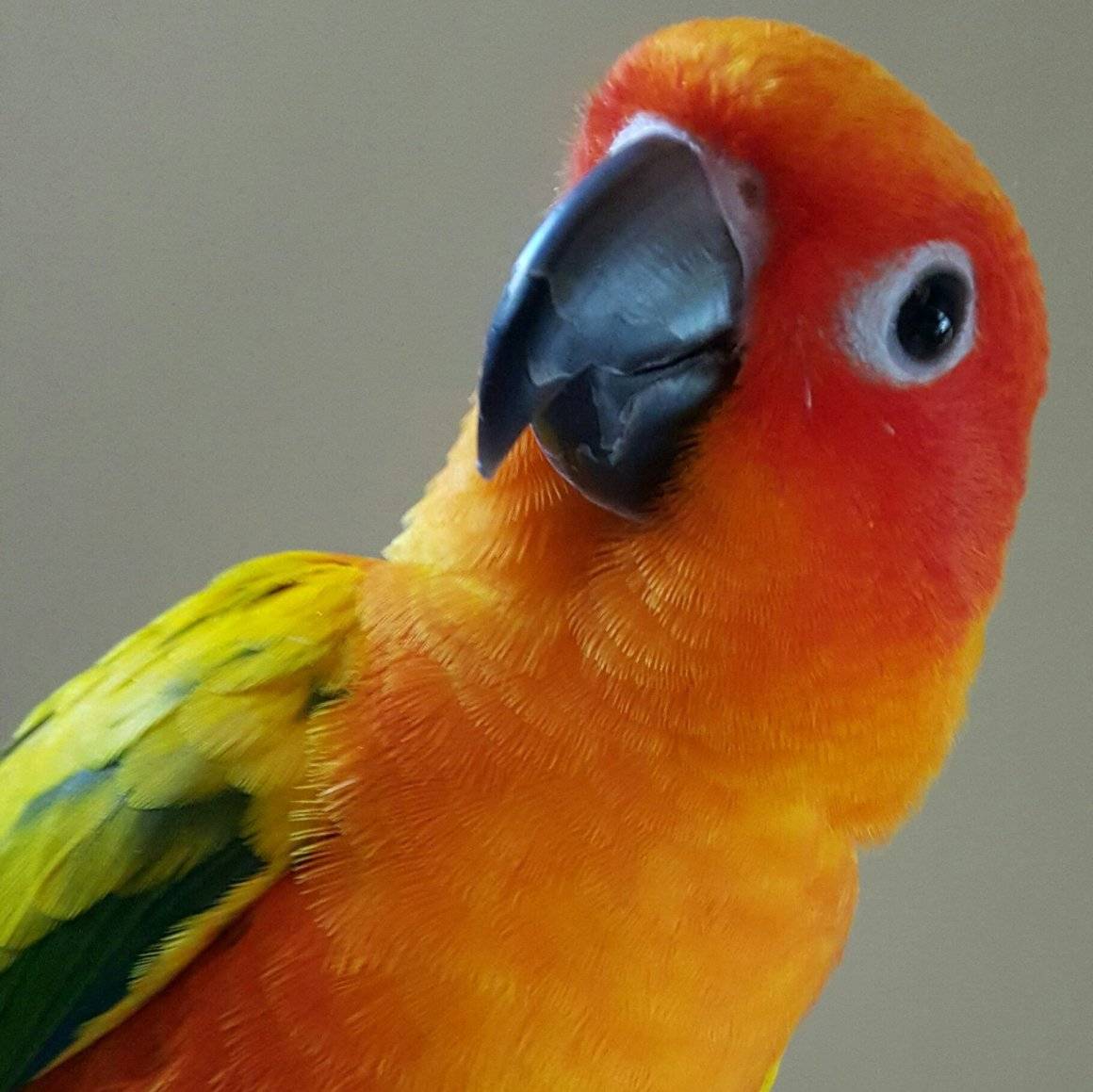 Иконка канала Познавательный канал