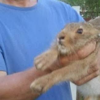 Иконка канала Kalinin