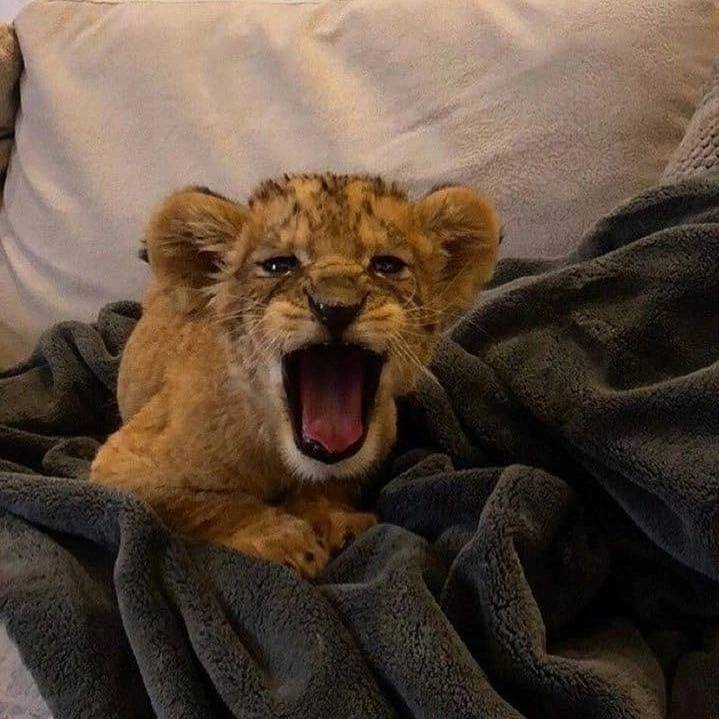 Иконка канала ИВАНОВСКИЙ