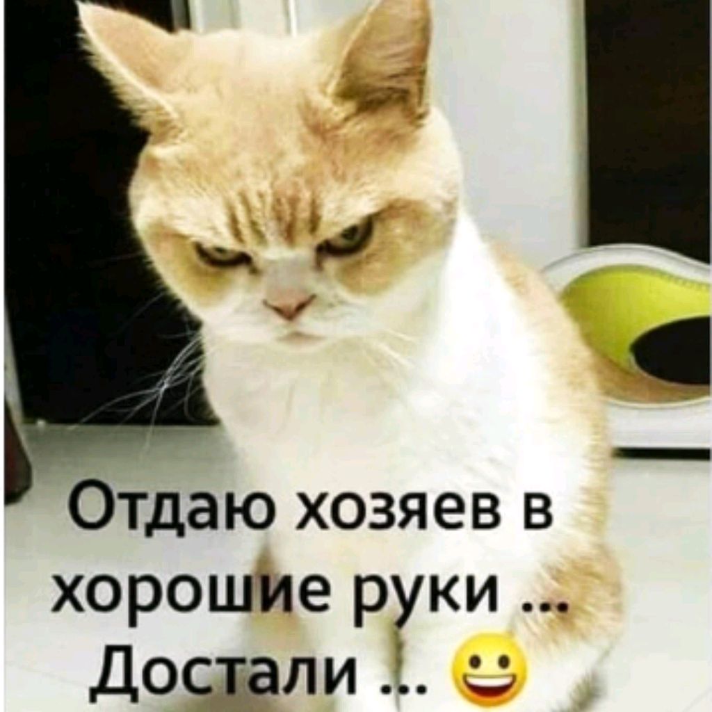 Иконка канала Юмор 😂