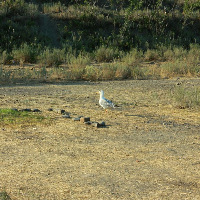 Иконка канала Своими глазами