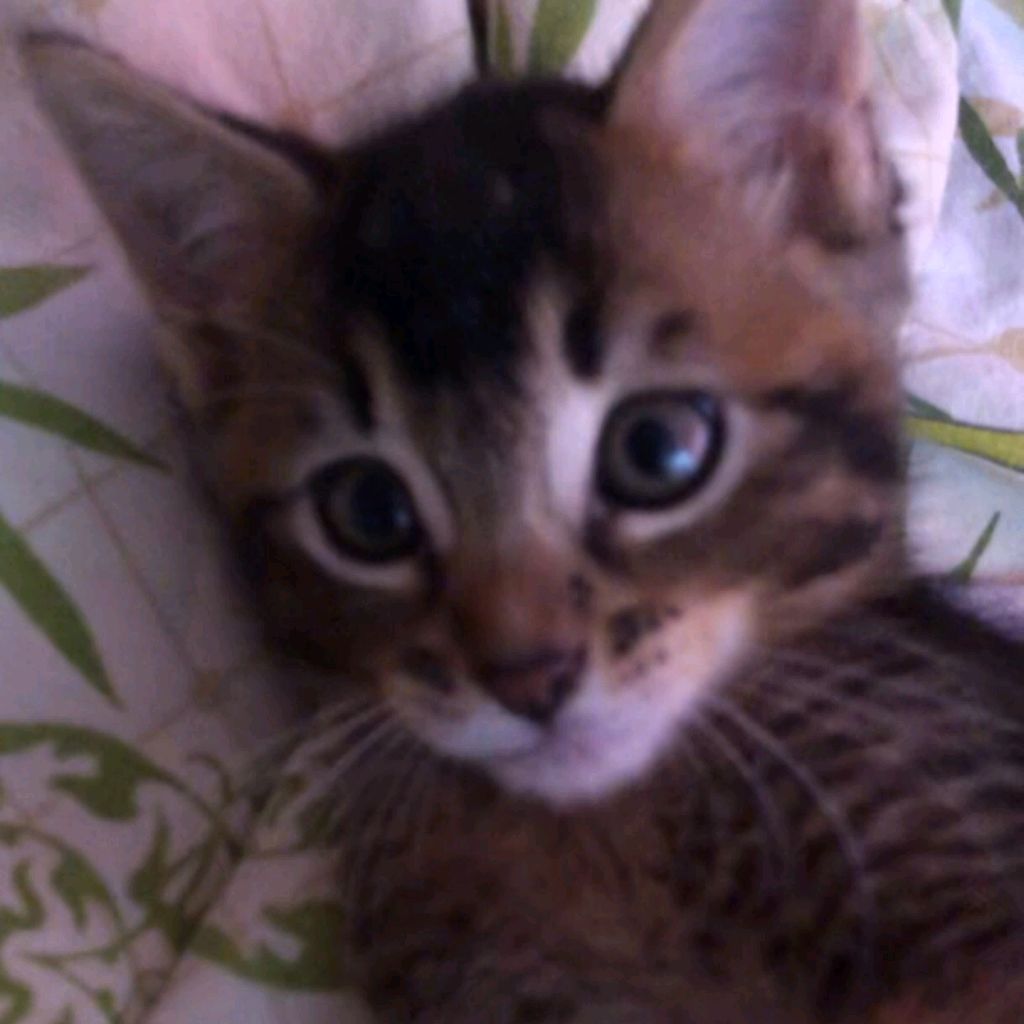 Иконка канала Umar 555