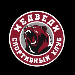Иконка канала Moscow Bruins