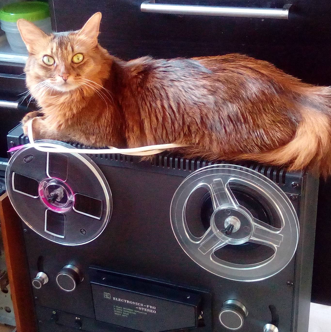 Иконка канала АПФ мастер