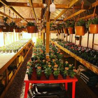 Иконка канала Мой небольшой цветочный бизнес .