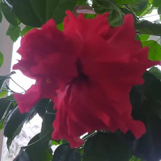 Иконка канала Райское место