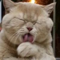 Иконка канала Савелий Карелин