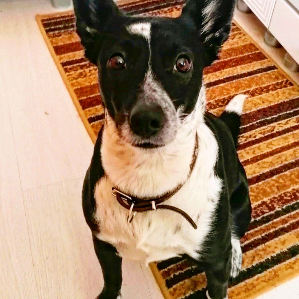 Иконка канала Один я Такой