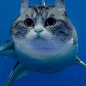 Иконка канала GrayAvdian2