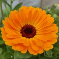 Иконка канала Мой мир