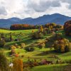 Иконка канала Swiss